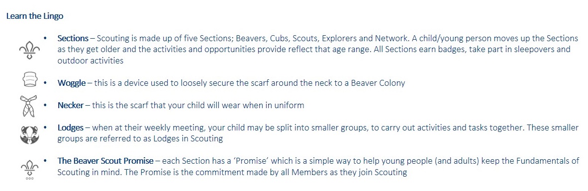 Beavers (6-8 Years) – Harrogate and Nidderdale District